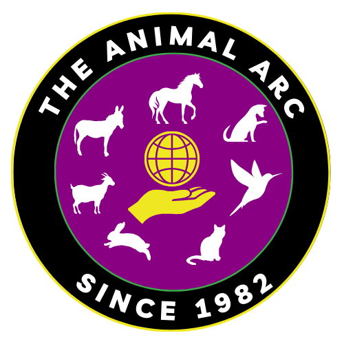 ARC Guide and Map 2 – Animal Rescue Cyprus